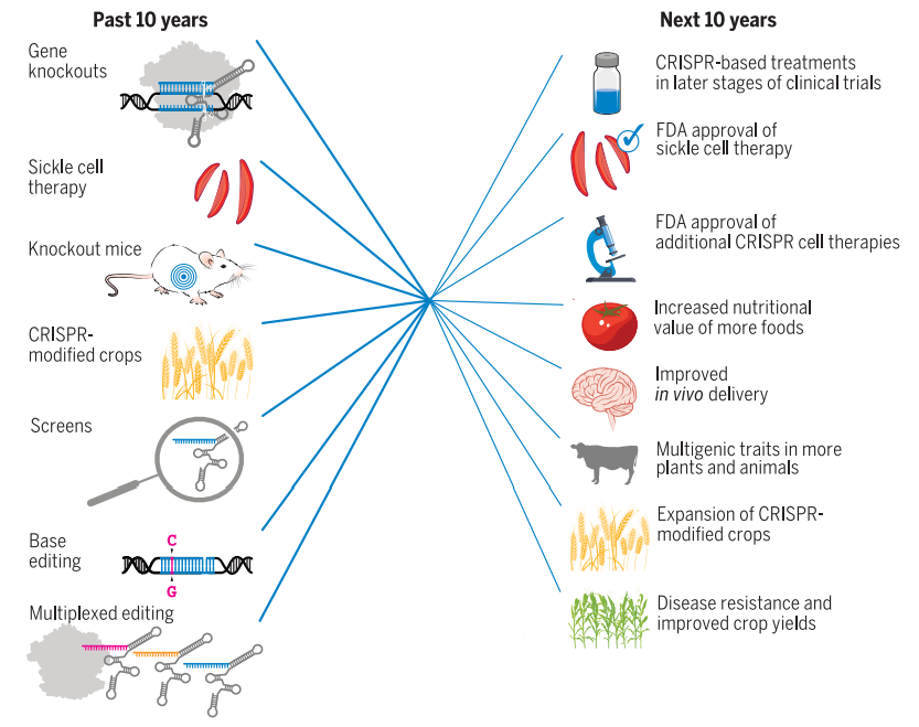 I prossimi 10 anni di CRISPR su Science | CRISPeR MANIA