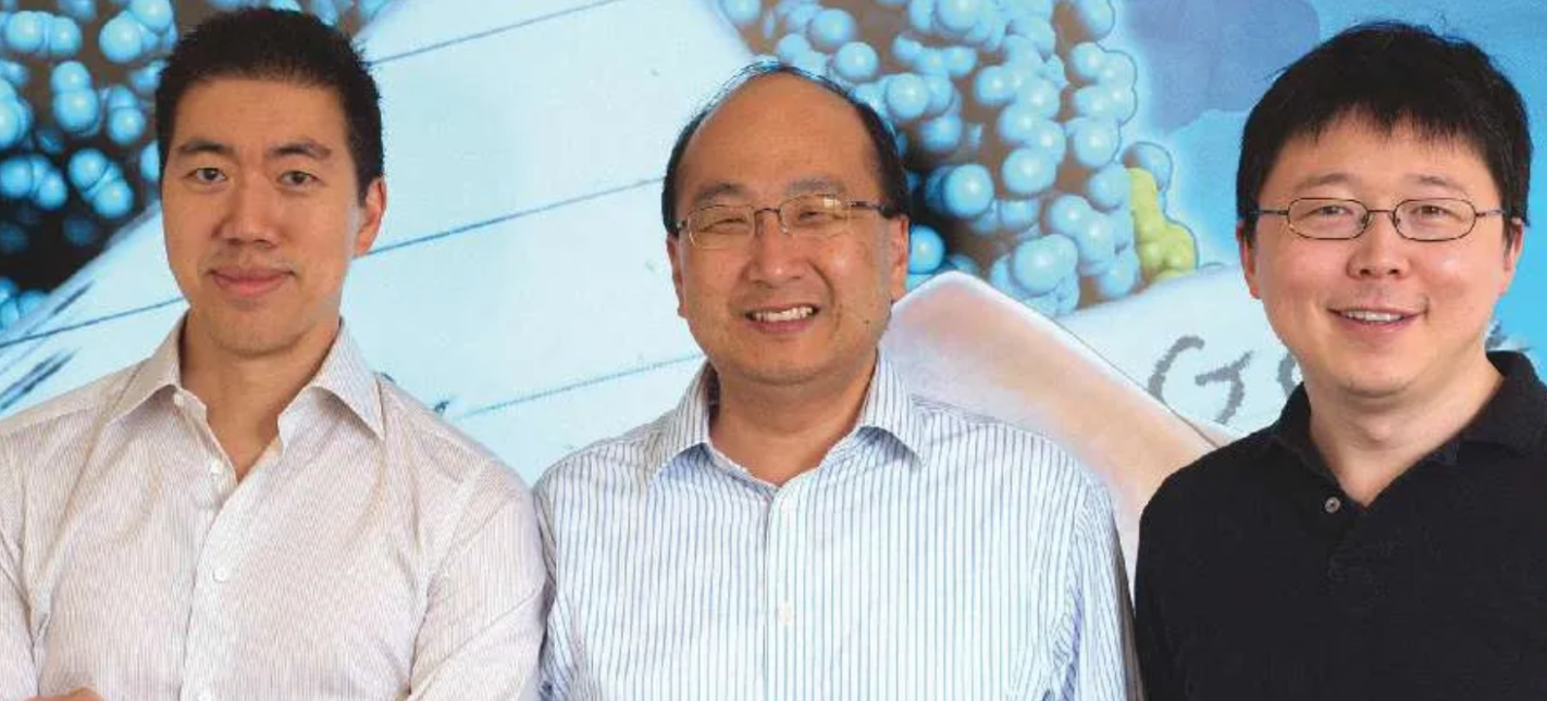 CRISPR salad: il primo contorno editato (e griffato) made in Usa | CRISPeR MANIA