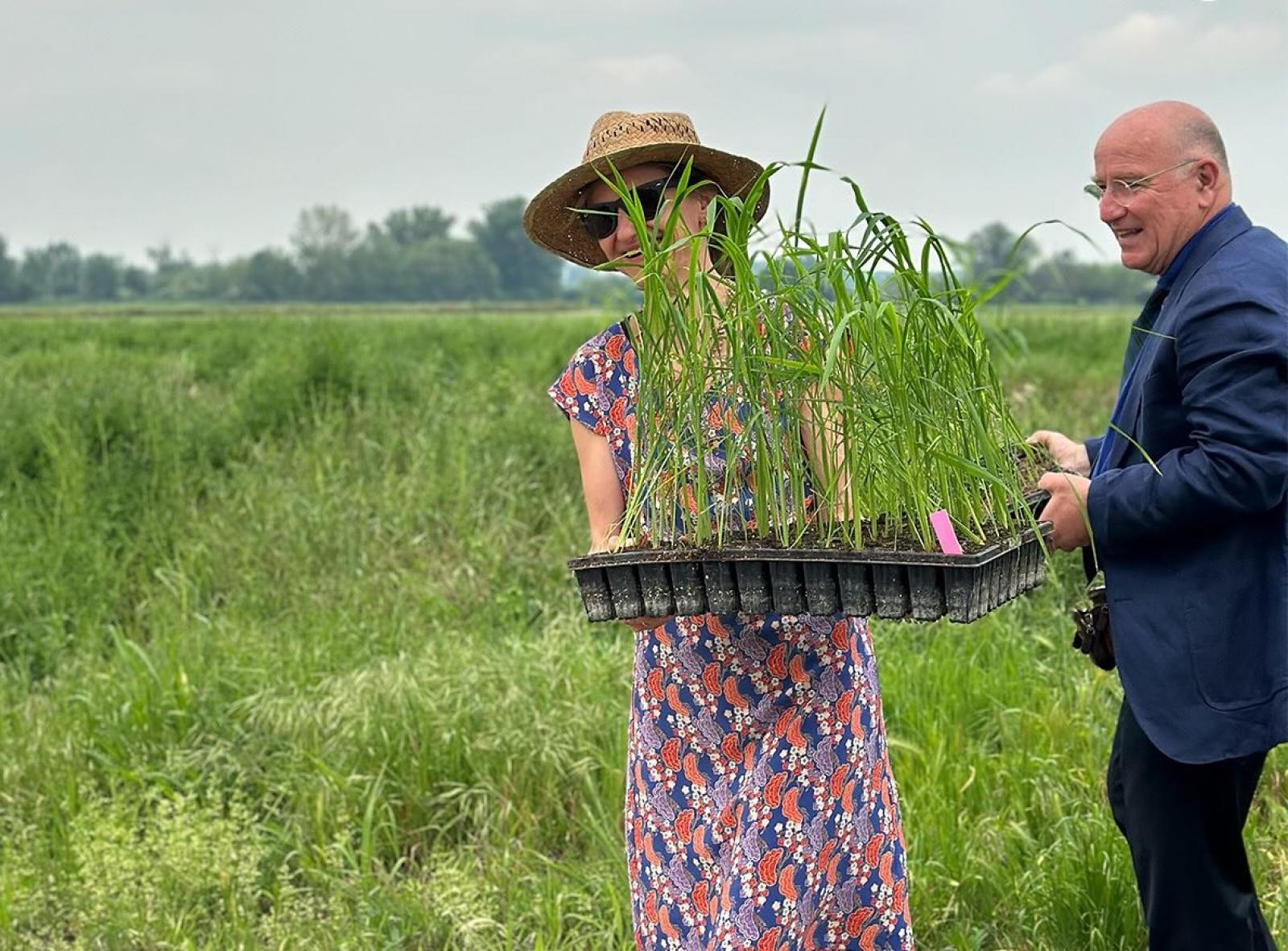 Sconcerto e tristezza: distrutto il primo campo TEA italiano | CRISPeR ...