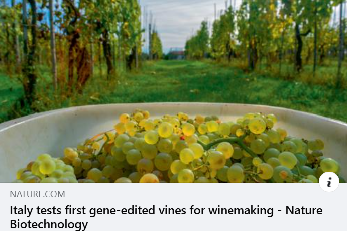 Le viti TEA su Nature Biotechnology | CRISPeR MANIA